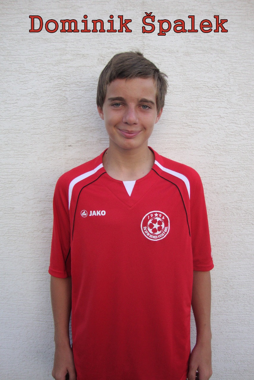 Súpiska družstva :: ŠK SFM Senec U15 - Skutoční víťazi sa nikdy ...